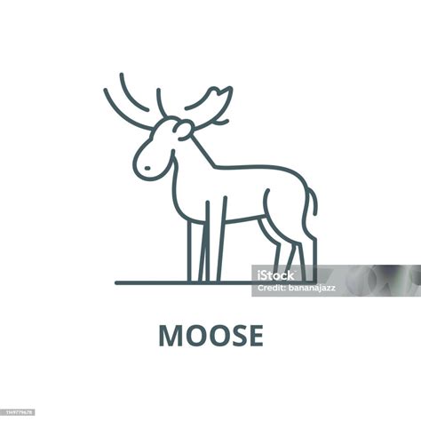ilustración de icono de la línea vectorial moose concepto lineal signo