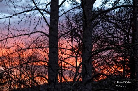 The Creator Greeted Me With This J Patrick Mahon