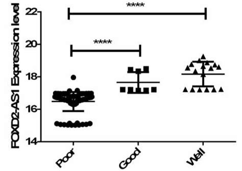 The Correlation Between Foxd2 As1 Expression And Tumor Differentiation