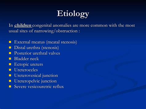 Urinary Outflow Obstruction Ppt