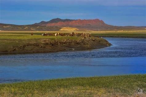 байгалийн гэрэл зураг дуу клип сонирхогчид энд нэгдэцгээ