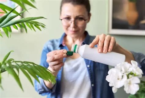 Using Hydrogen Peroxide To Kill Algae In Hydroponics