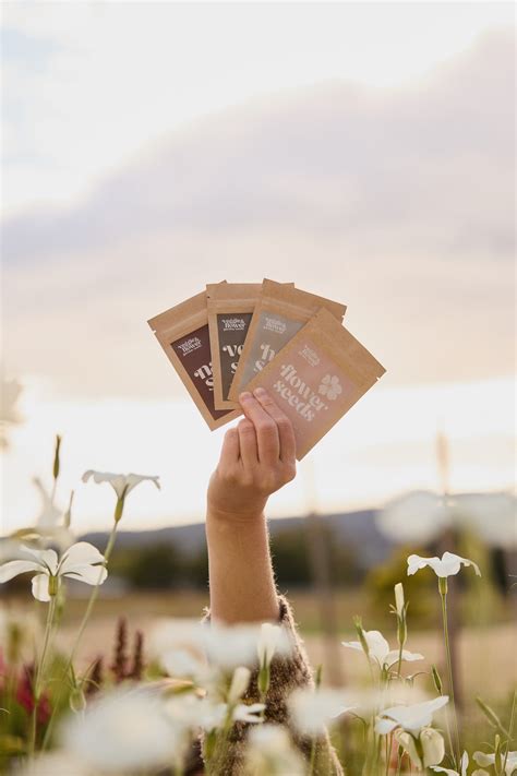 Flower Sowing Chart By Month And Climate Veggie And Flower Garden Seeds