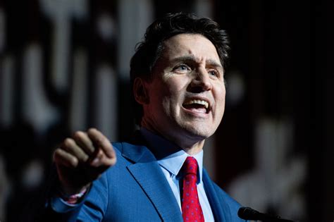 Pm Justin Trudeaus Cabinet Has Eight New Faces But They Might Not Last