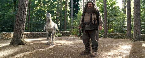 Harry Potter Every Time Hagrid Reminded Us Of Sagittarius Energy