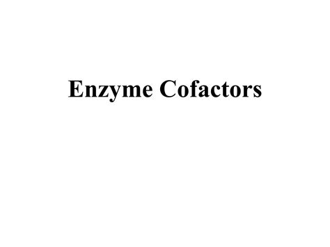 Enzyme Cofactors Pptx
