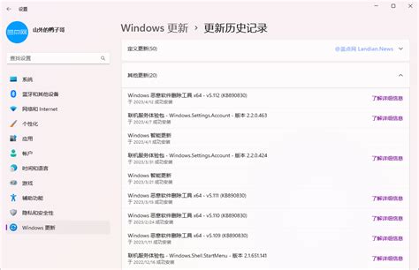 可以跳过ab对照测试 微软解释windows 11配置更新选项的细节 蓝点网