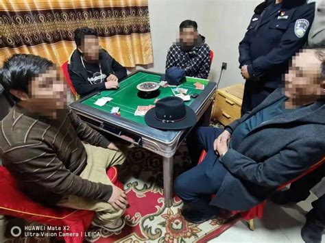这16人聚众赌博被青海警方抓获！违法娱乐提供线索