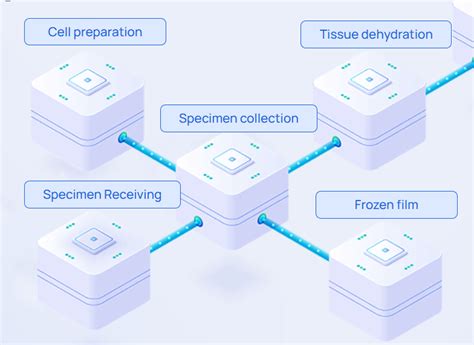 Specimen Identification