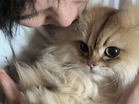 最美的感情，回忆里待续 邓峰萌萌摔肿了 邓峰萌萌摔肿了 哔哩哔哩视频