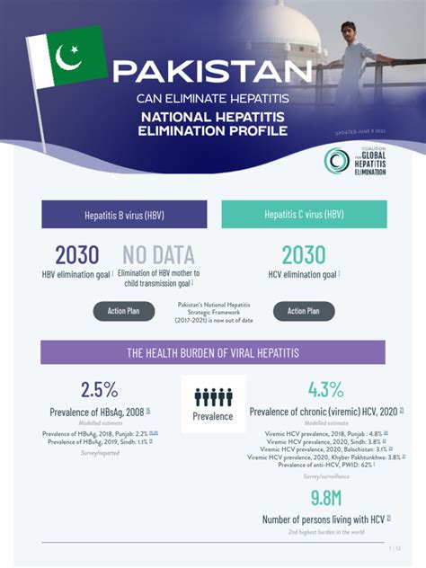 Pakistan National Hepatitis Elimination Profile Final Pdf Hepatitis