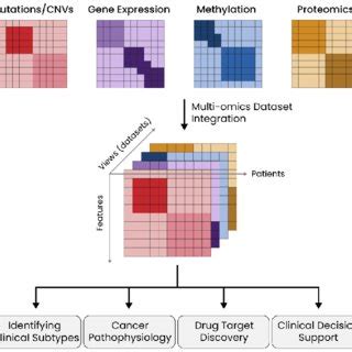 Overview Of Multi Omics Approaches In Cancer Research The Integration Download Scientific