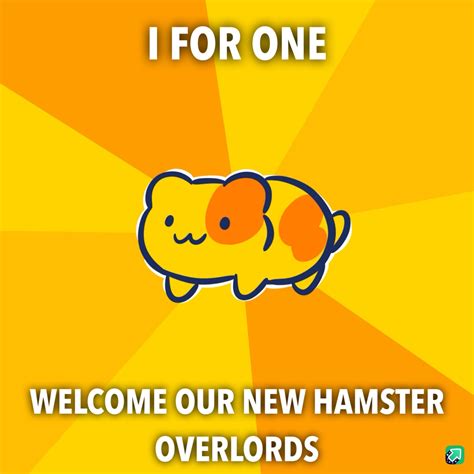 Stop Hammy Time Meme On Imgur