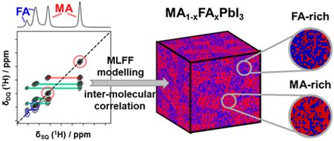 Fa Ma混合卤化钙钛矿中阳离子的微观（无序）和动力学the Journal Of Physical Chemistry C X Mol