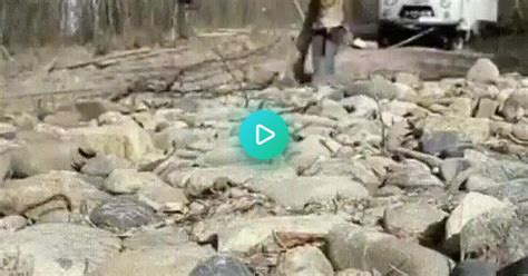 Leverage Is Powerful Album On Imgur