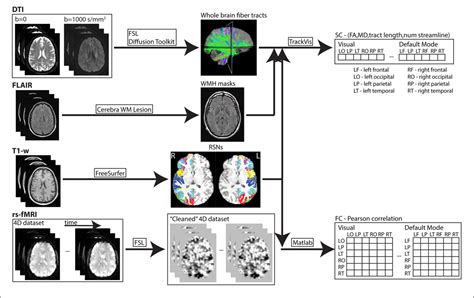 Figure 1 From White Matter Structural Connectivity Is Not Correlated To Cortical Resting State