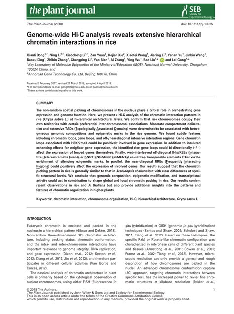 pdf genome‐wide hi‐c analysis reveals extensive hierarchical
