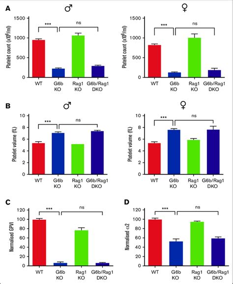 Ablation Of The Immune System Does Not Rescue The Macrothrombocytopenia