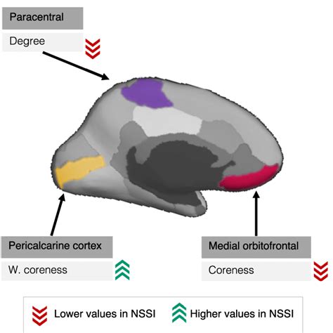 Regional Group Differences In Network Measures Between Adolescents