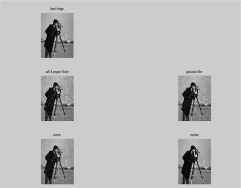 1 1 the input image cameraman tif is noised with salt and pepper