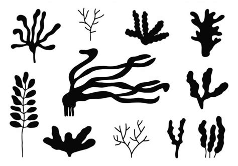 Algae Food Aquarium Underwater Silhouette Vector Deepwater Object