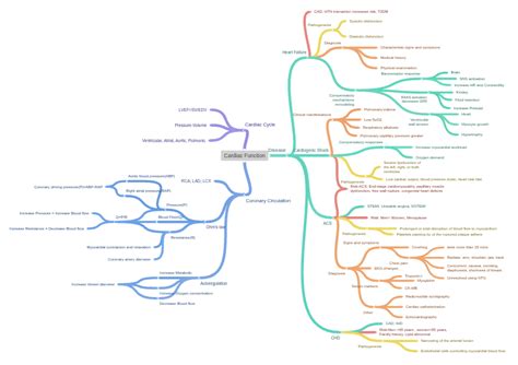 Cardiac Function Disease Acs Diagnosis Serum Markers Myoglobin
