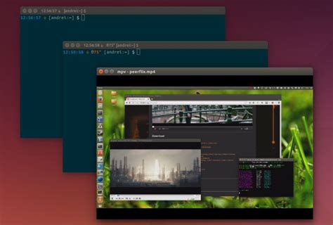 Ubuntu 14 04 LTS Trusty Tahr Final Beta Liliputing