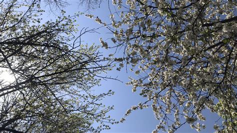 Nuwanda Augustus Profile Pinterest