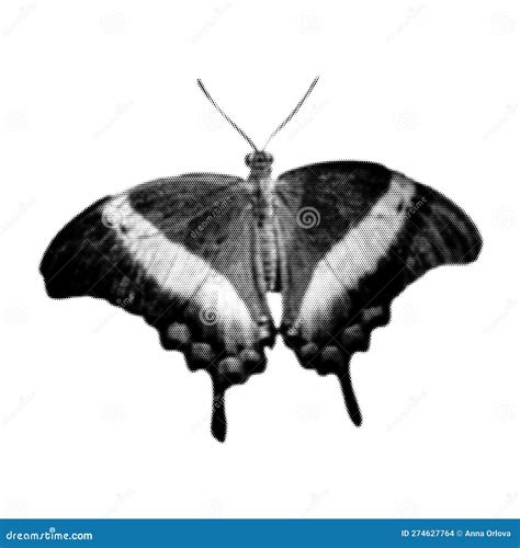 Halftone Butterfly Collage Design Element In Trendy Magazine Style