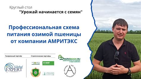 Профессиональная схема питания озимой пшеницы от компании АМРИТЭКС Youtube