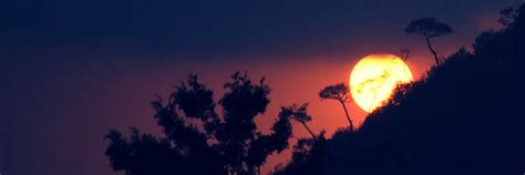 老牌程序员社区【博客园】面临关站危机? 鄢云峰的个人网站 老牌程序员社区【博客园】面临关站危机? 鄢云峰的个人网站