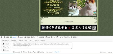 封神台在线靶场 尤里的复仇Ⅰ 小芳！【8题】 萌新也能找cms漏洞 csdn博客