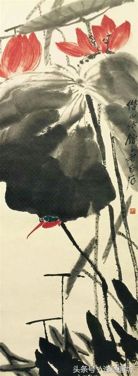 「白石畫荷」總是充滿著勃勃的生機 每日頭條