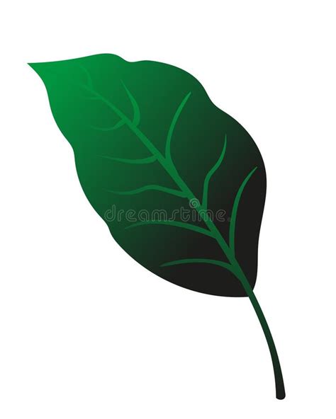 Green Leaf Vector Illustration Clipart Stock Illustration