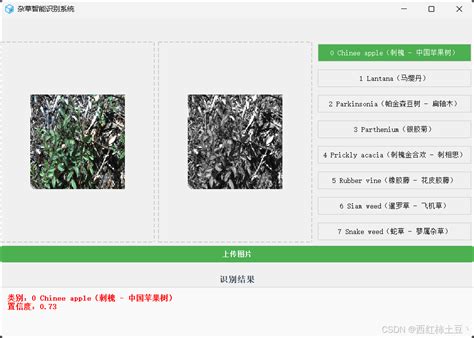 基于bp神经网络的杂草智能识别系统（杂草识别、python项目）python智能识别项目 Csdn博客