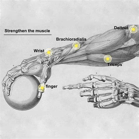 Gyroscope Powerball Led Gyro Power Wrists Ball Arm Exercise