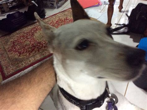 J Class Destroyer 1945 1700 In Resin By Atlantic Models Page 2