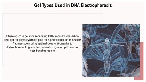 Gel Types Used In Dna Electrophoresis Ppt Guidelines Acp Ppt Example