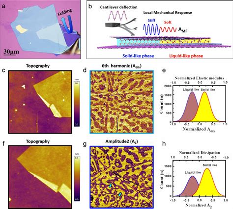 Advanced Atomic Force Microscopies And Their Applications In Two Dimensional Materials A Review