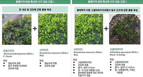 충남 새 탄소흡수원 ‘이끼 산업 육성 모색