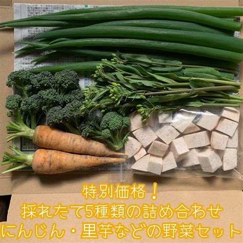 特別価格！農薬不使用＊新鮮野菜＊採れたて5種類の詰め合わせ＊にんじん等＊ネコポス メルカリ
