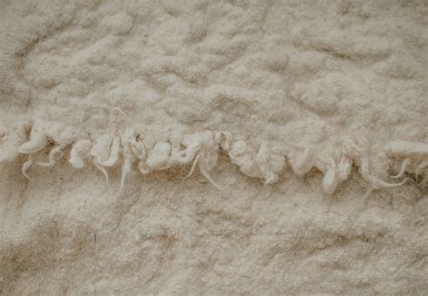 흰색 표면의 클로즈업 사진 Unsplash의 배경 이미지