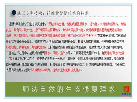 高陡岩质坡面喷播施工新技术纤维骨架团粒结构技术植被建植 河南恒睿机械