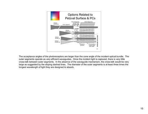 Schematic Eye 2016 Ppt