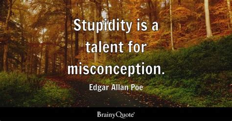 Misconception Quotes