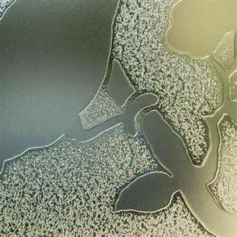 Bauhaus България Самозалепващо фолио за стъкло D C Fix Static Spring