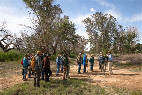 Recap Earth Week Volunteer Event With The Mojave Desert Land Trust