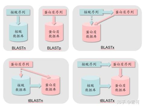 生物信息学入门必看的87个名词每个都要记牢 知乎