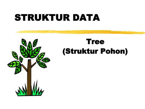 Detail Contoh Struktur Data Koleksi Nomer 38