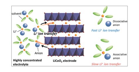 Anionic Effects On Li Ion Activity And Li Ion Intercalation Reaction